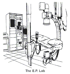 Cardiac Ablation | LHSC